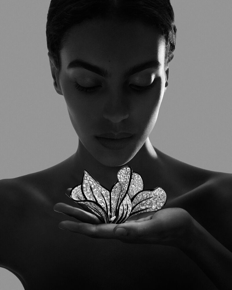 2025 High Jewelry Collections Ranked: Best & Worst of the Year